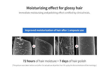 Lador Perfect Hair Fill-Up (Hair Ampoule) - 13ml | Intense Protein ...